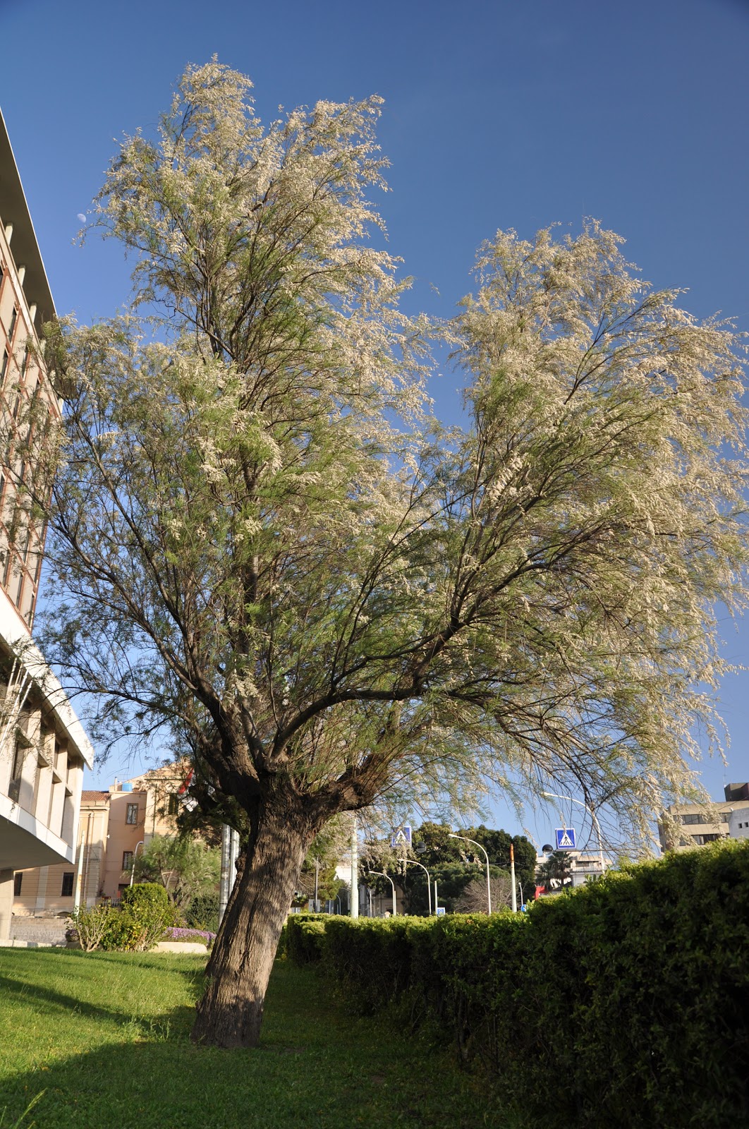 Cagliari in Verde: aprile 2011