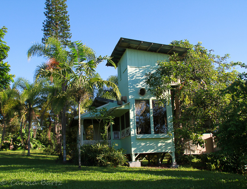 carola bARTz: Avocado Tree House