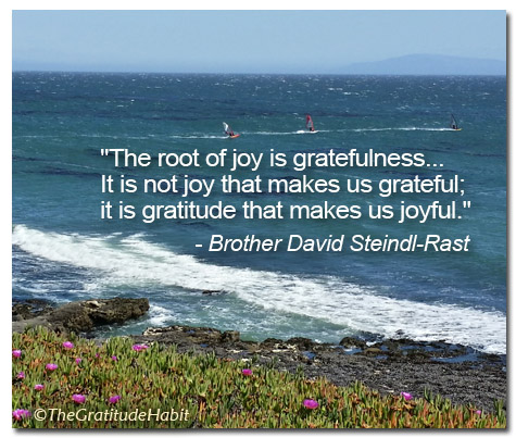 The Gratitude Habit Journal: Gratitude Quote: Steindl-Rast