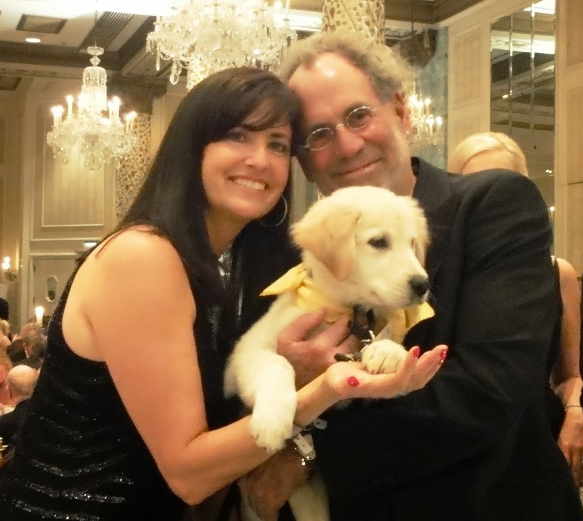 Hindsight : 2013 PAWS CHICAGO FUR BALL