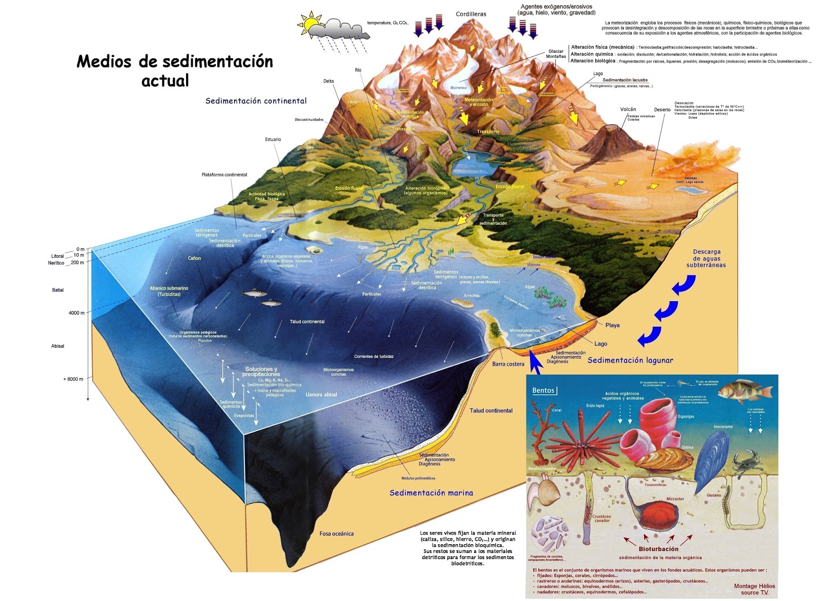 Geología 2ºBachillerato: Medios de Sedimentación actual
