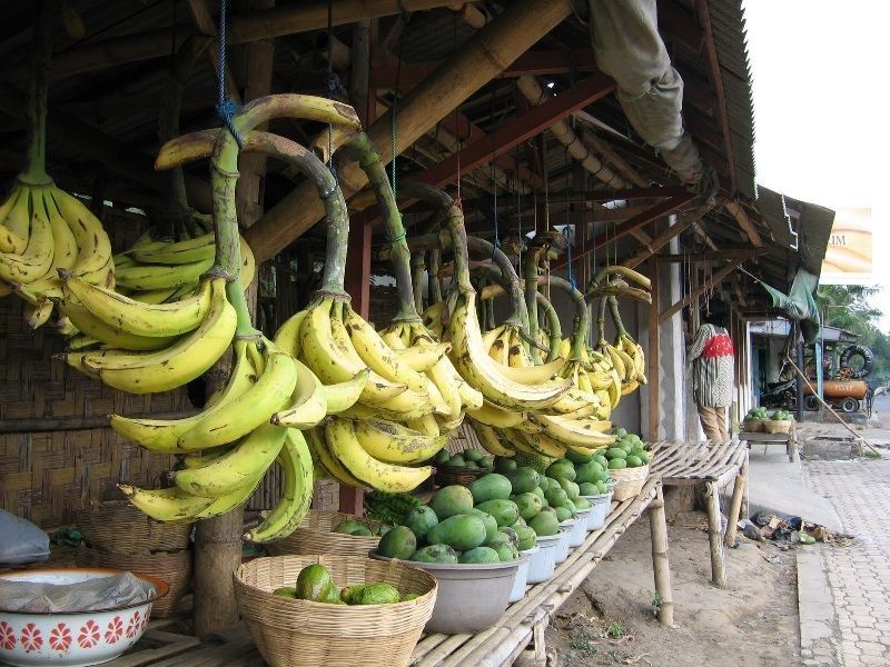 Siapa Yang Mau Tau dan Lihat Gambar Gambar Pisang Besar? Langsung Simak ...