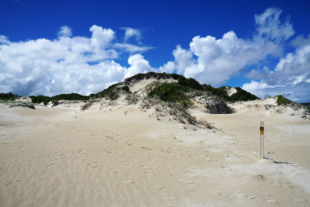 Cape to Cape Track (WA) - Hamelin Bay to Deepdene ~ The Long Way's Better