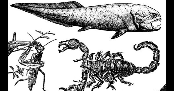 Spacemouse 9: Anatomy of a Monster