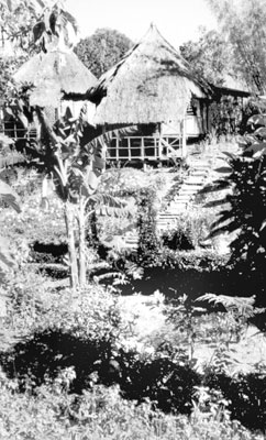 ALPHA reader: Interview with Kate Constable, author of 'New Guinea Moon'