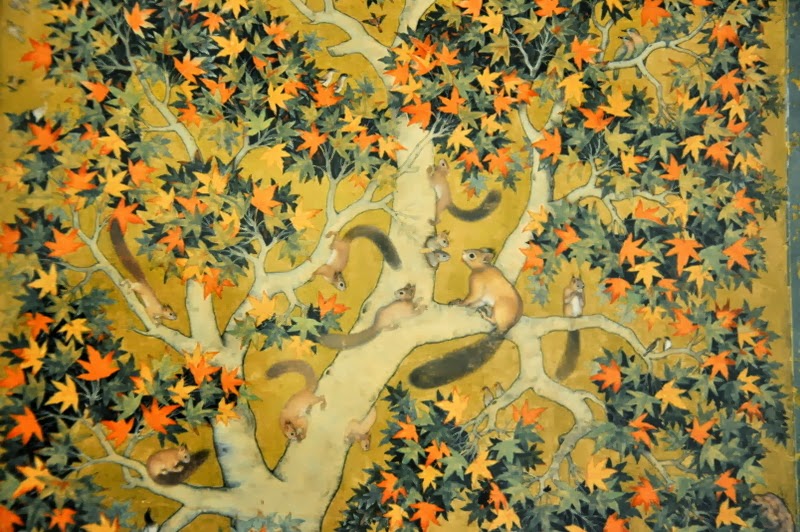 Figuring Things Out: Squirrels on a Chinar Tree