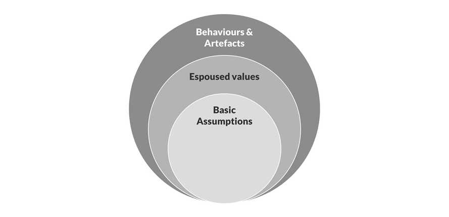 Фотографии UI MODEL