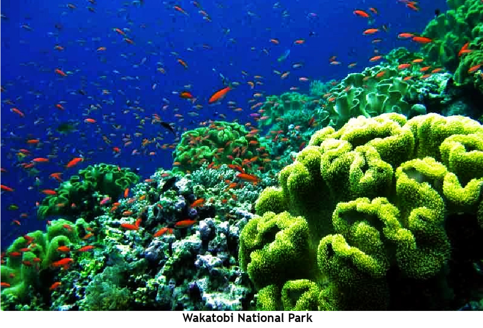 The Beauty Landscape of Indonesia: Beautiful Scenery from South East ...