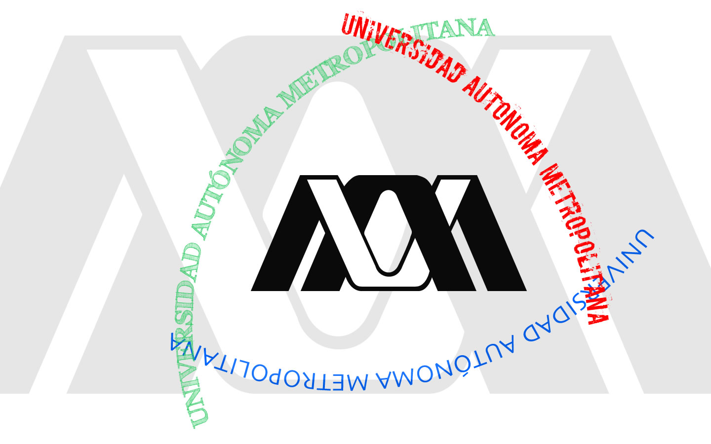 Comunicación Social: febrero 2012