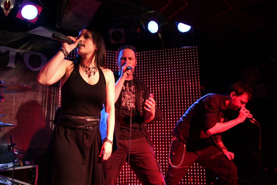 THE JOYFUL GADFLY ... ROCK AND METAL ALBUM REVIEWS BLOG: Van Canto ...