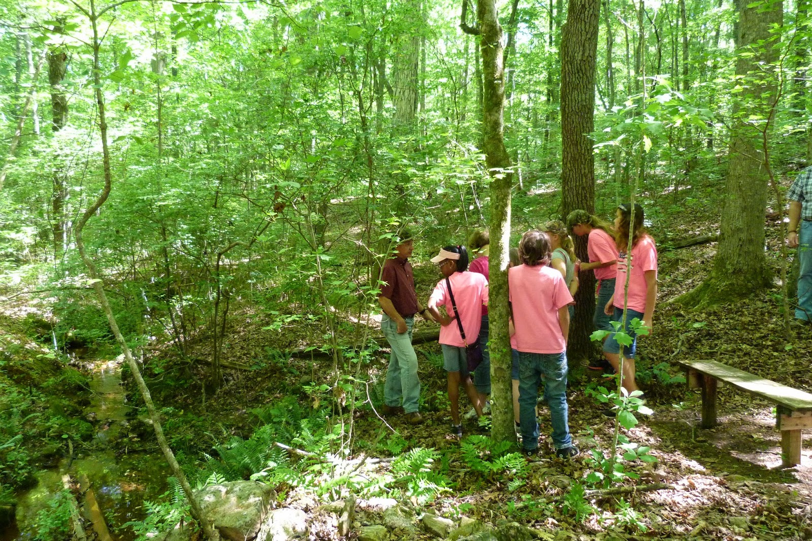 Private Forest Landowner: Classroom In The Forest