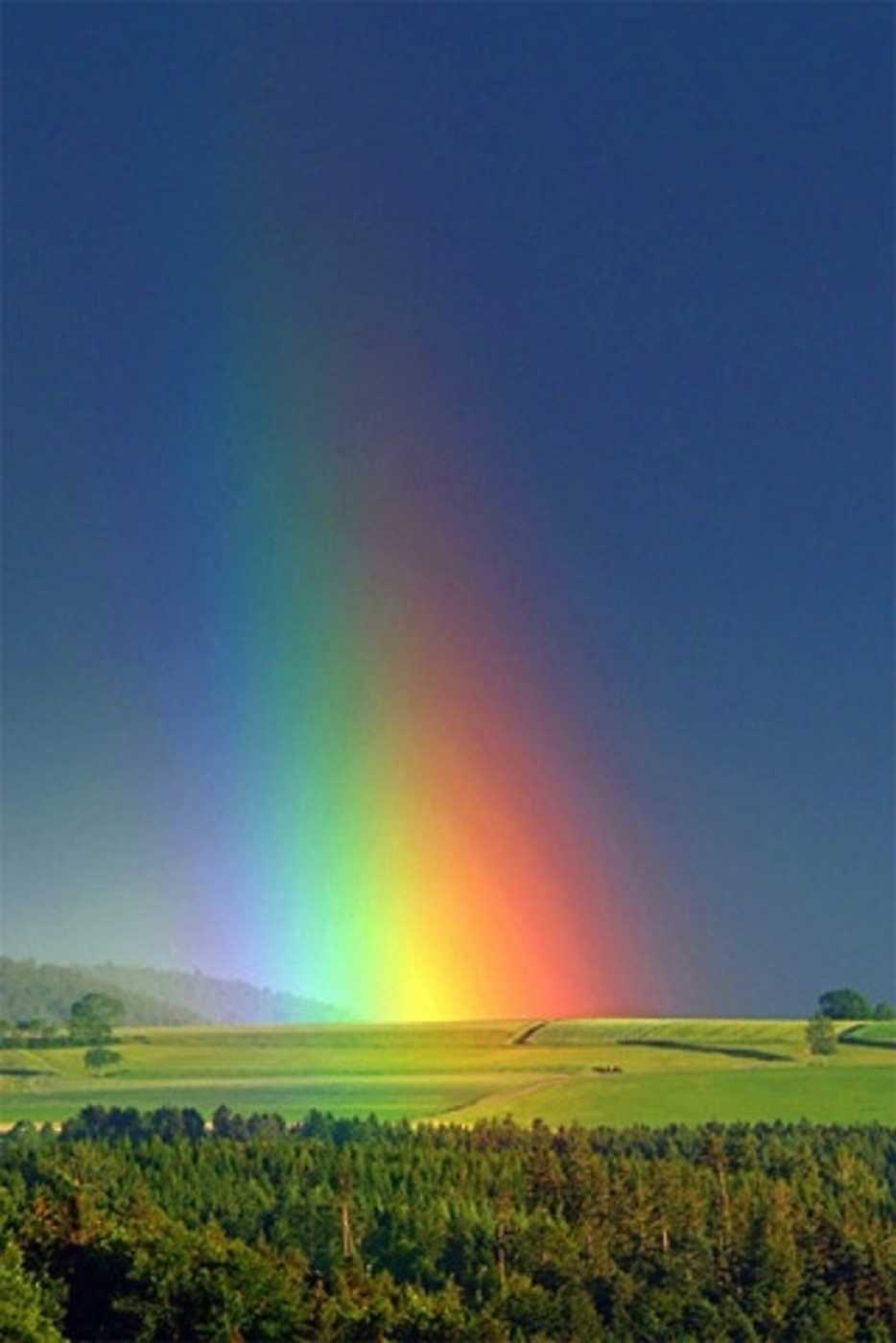 rainbow nature | Beautiful nature, Beautiful rainbow, Amazing nature