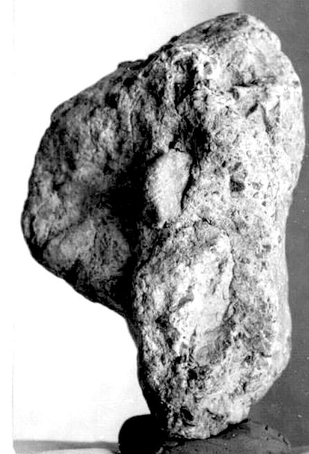 Archaeology of Portable Rock Art: Museum of the Origins of Man ...