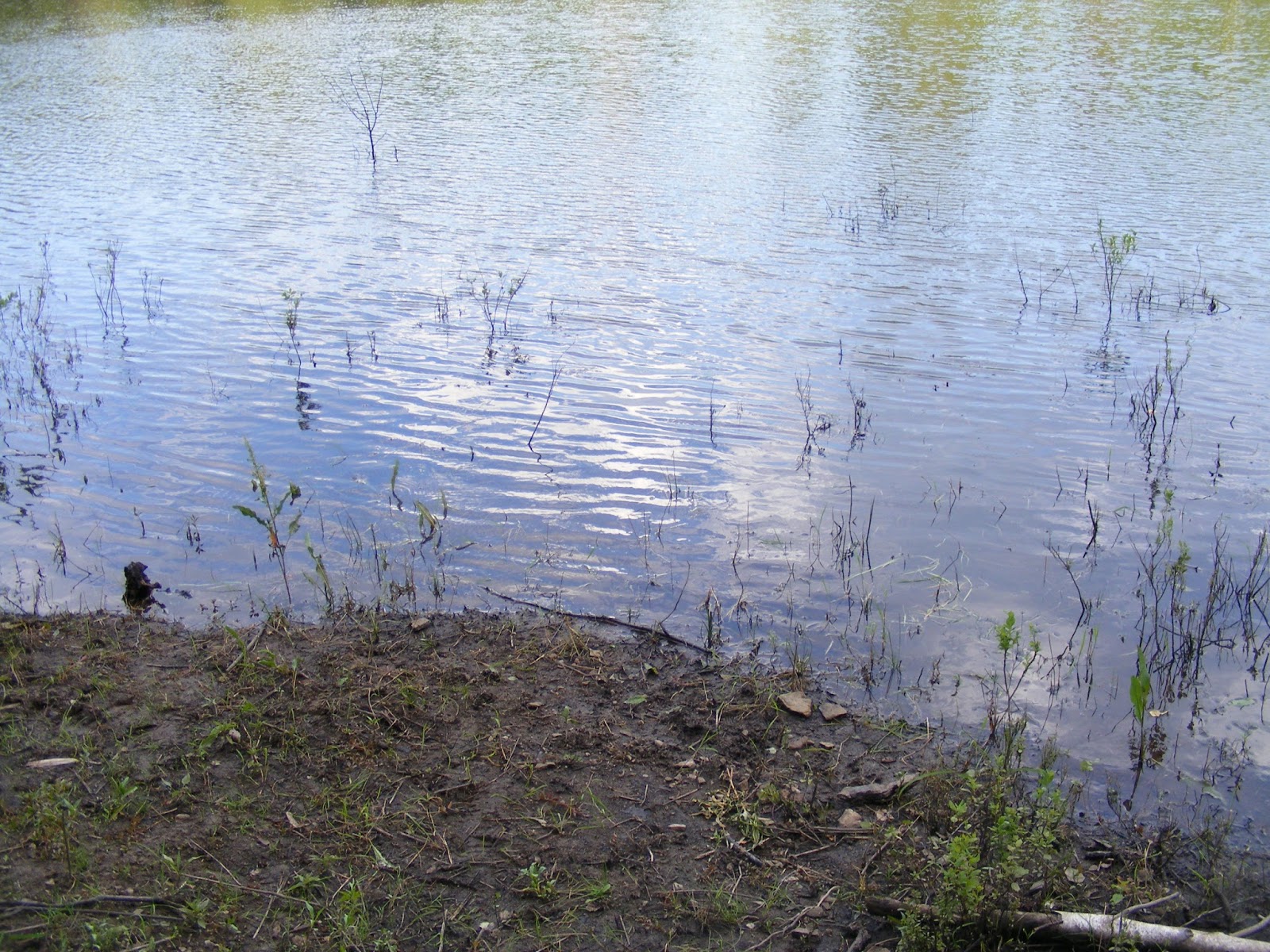 Country Living: Loch Ness Pond
