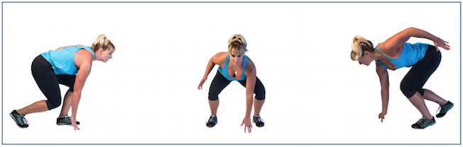 Fitness Pollenator: 4 Easy, Reliable, and Valid Fitness Tests to ...