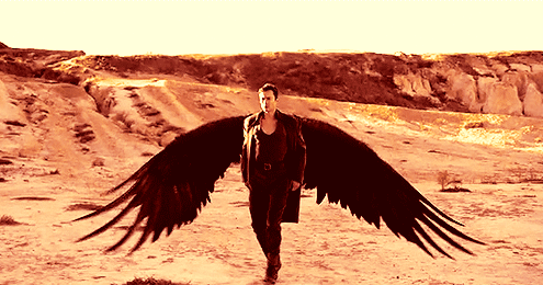 Spot Light: Dominion: Angels Get Their Wings