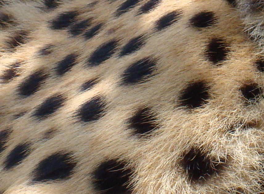 Erica Bunker | DIY Style! The Art of Cultivating a Stylish Wardrobe ...