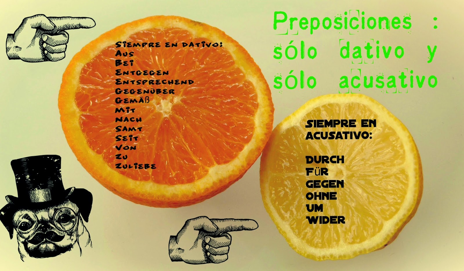 Ich bin, du bist, sie..: 48º PASO: LAS PREPOSICIONES: DATIVO. SEGUNDA PARTE