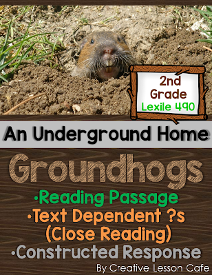 Creative Lesson Cafe: Get Ready for Groundhog! Groundhog Day Projects ...