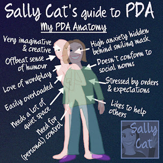Sally Cat PDA: How I understand PDA (in language kids can understand)