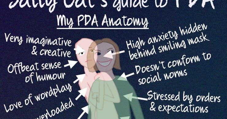 Sally Cat PDA: How I understand PDA (in language kids can understand)