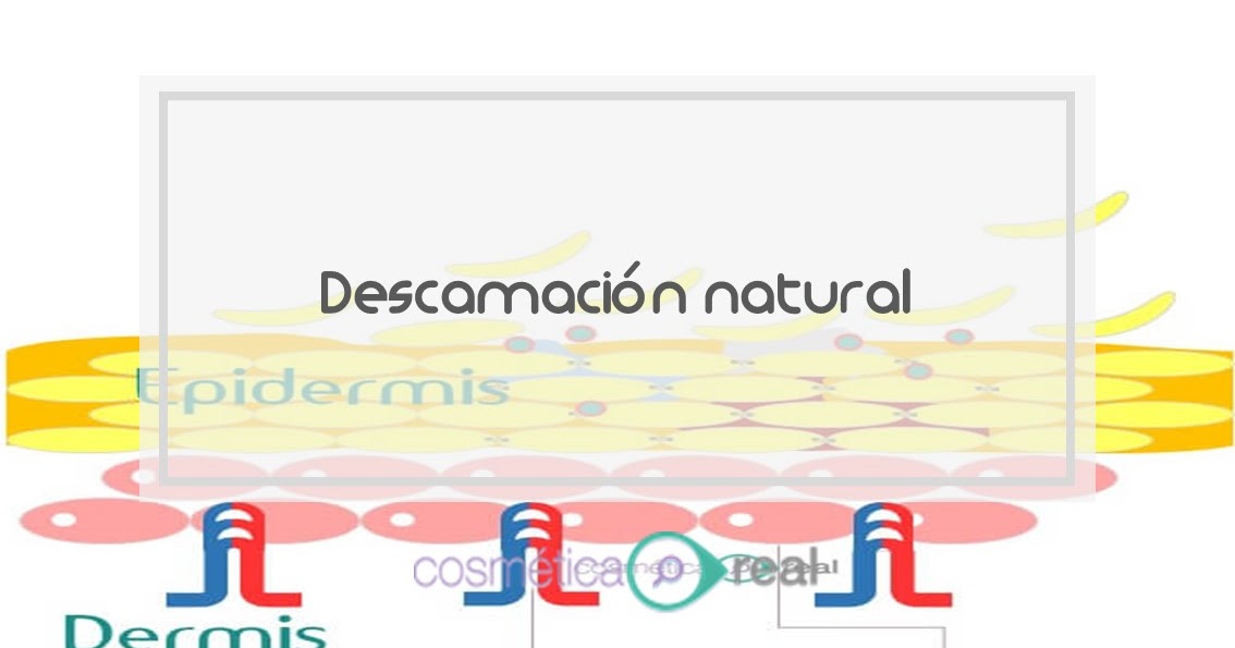 Descamación natural: Importancia en el cuidado de la piel