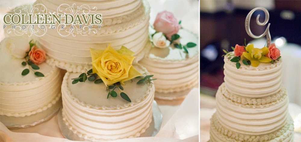 Colleen Davis Photography