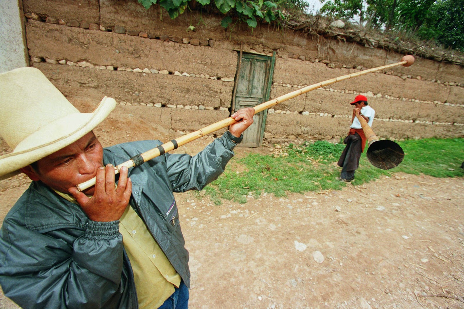 LC PERÚ Descubre con Sonaly: Con sus pelos ensortijados, amarillos como ...