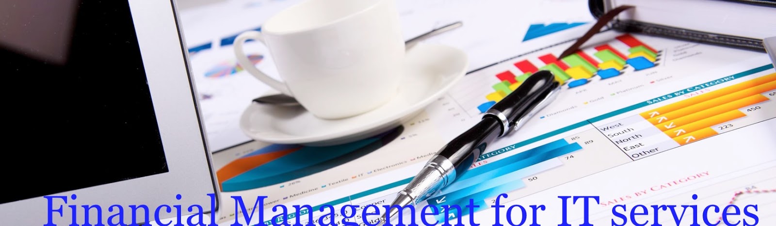 Ecommerce solution providers in india: Financial Management for IT services