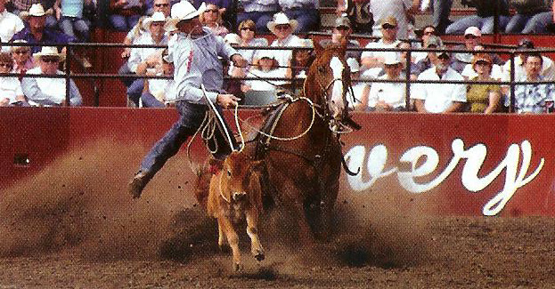 Ridin', Reinin' and Writin': Super Stars of Rodeo