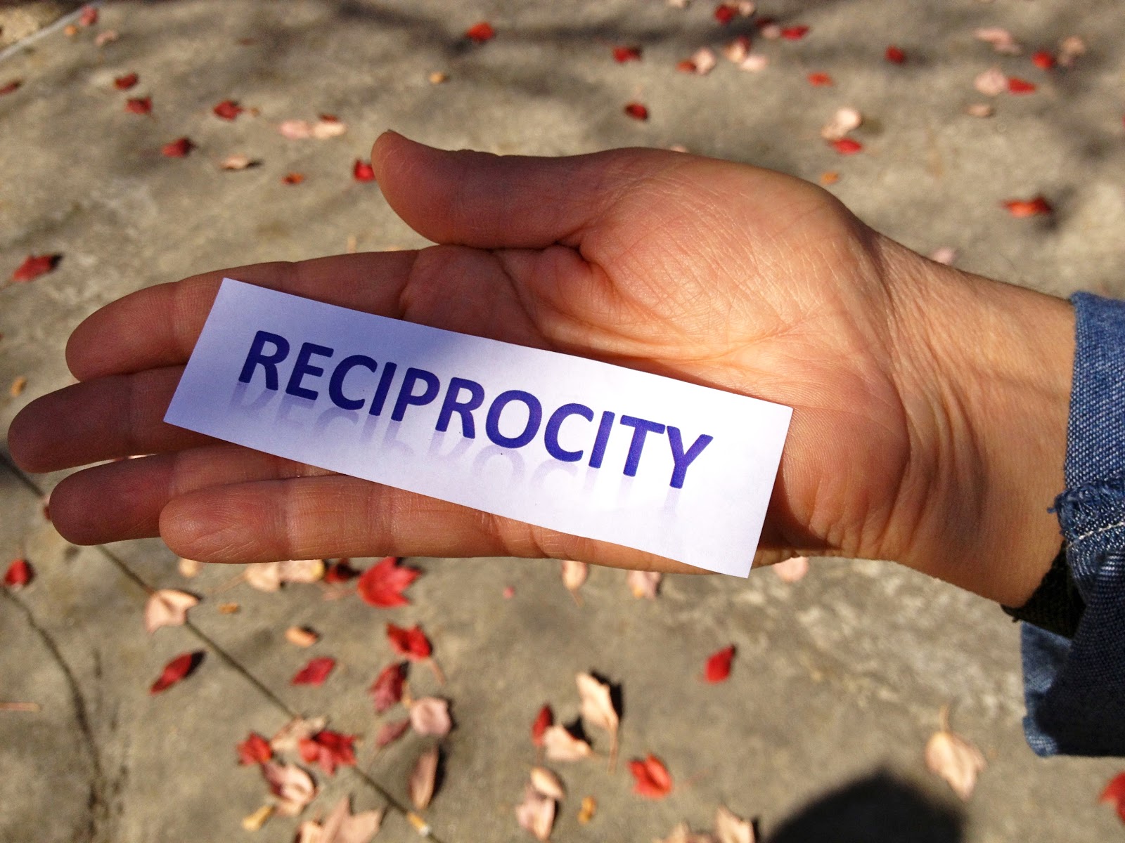 Coffee With Hallelujah: EIGHT WINDOWS INTO HALLELUJAH TRUTH: A Result ...