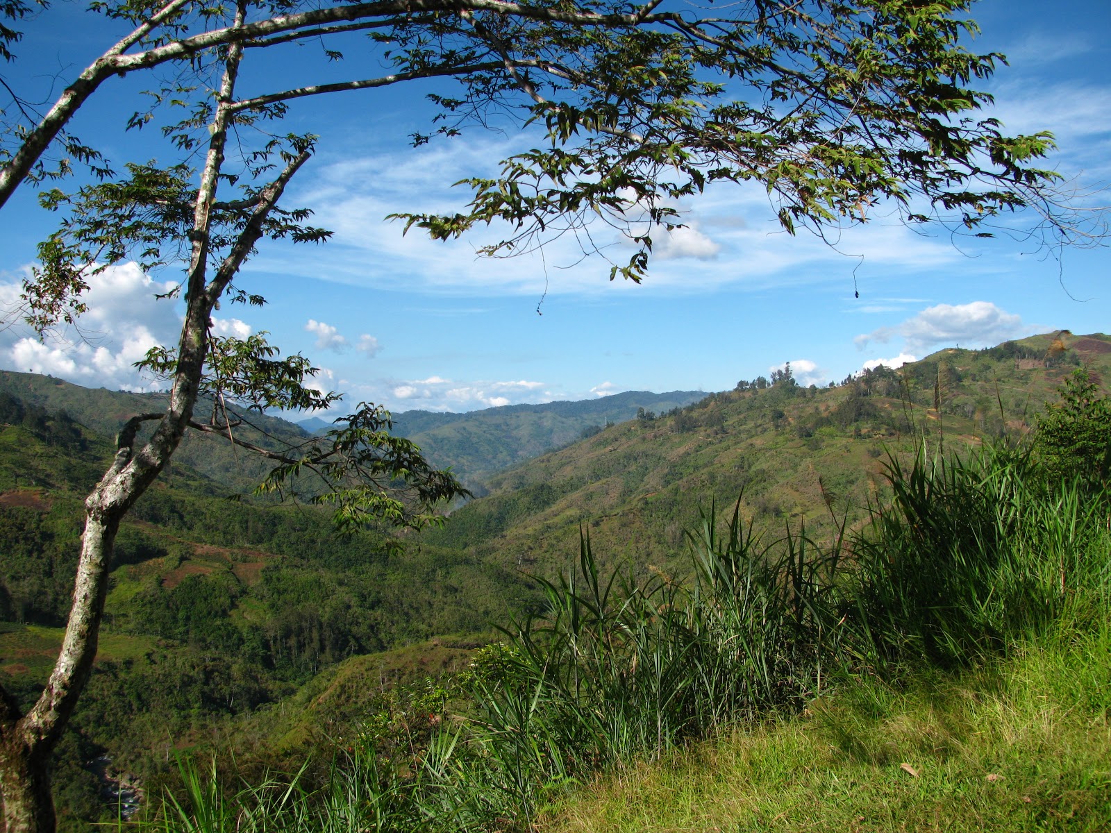 Conwell's Blog: Kompiam, PNG