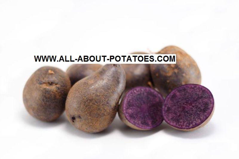 Tarım Siteniz: Patates Çeşitleri