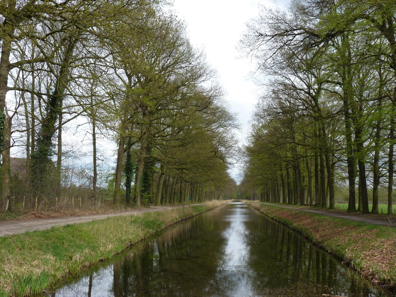 Het Engelse Avontuur: Landal Klein Ruwinkel, Scherpenzeel