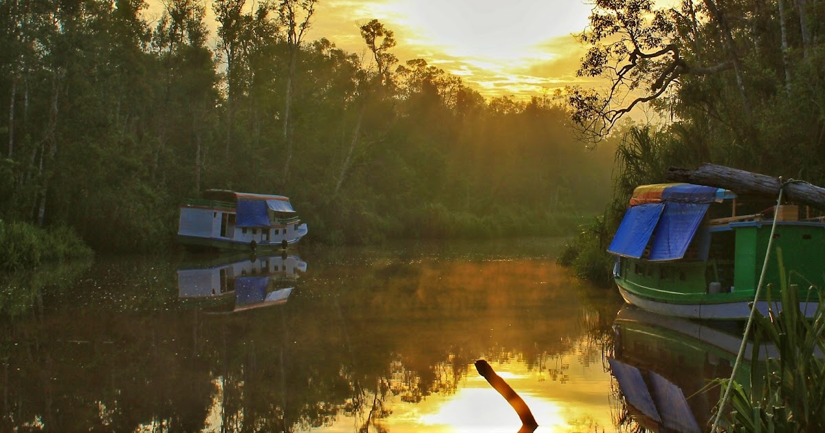 TANJUNG PUTING NATIONAL PARK