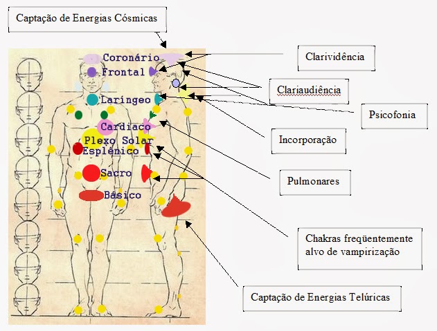 O MAGNETISMO HUMANO