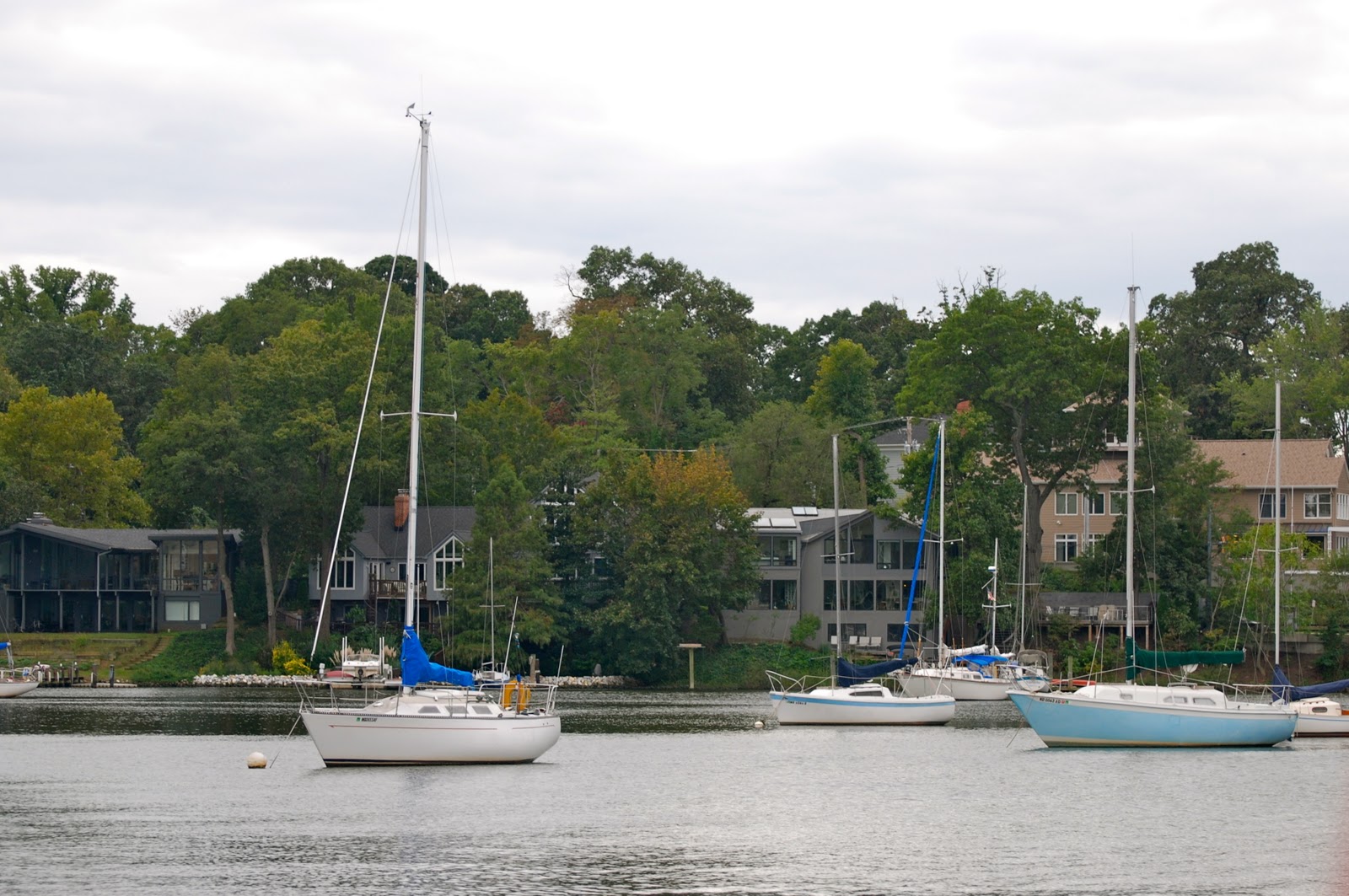 Oasis's Journey: Severn River, MD