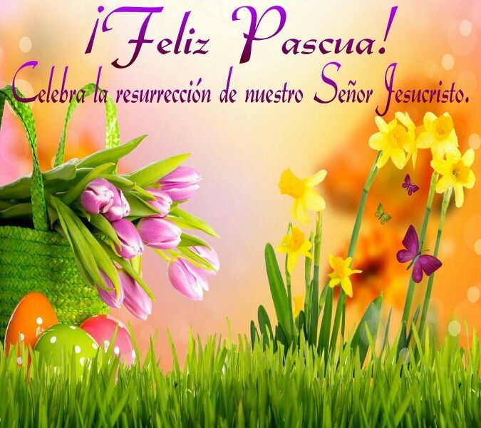 Frases De Feliz Dia De Pascua