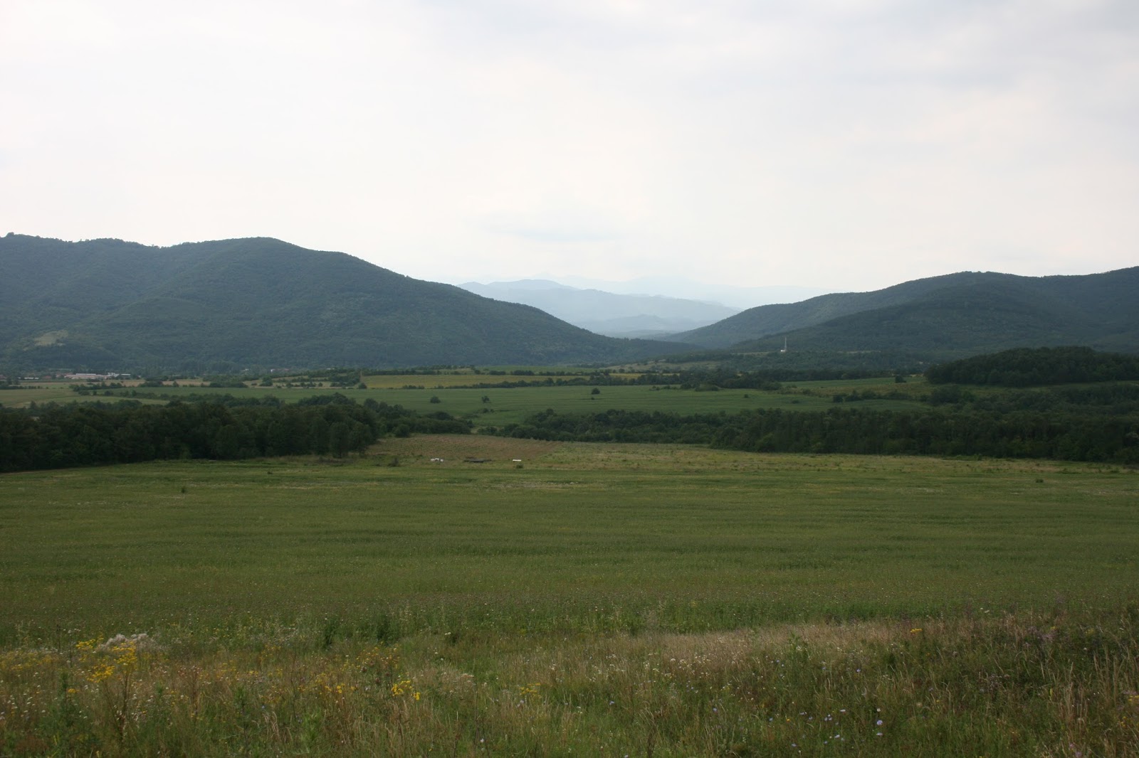 Balkan Ecology Project : Organic Cherry Farming