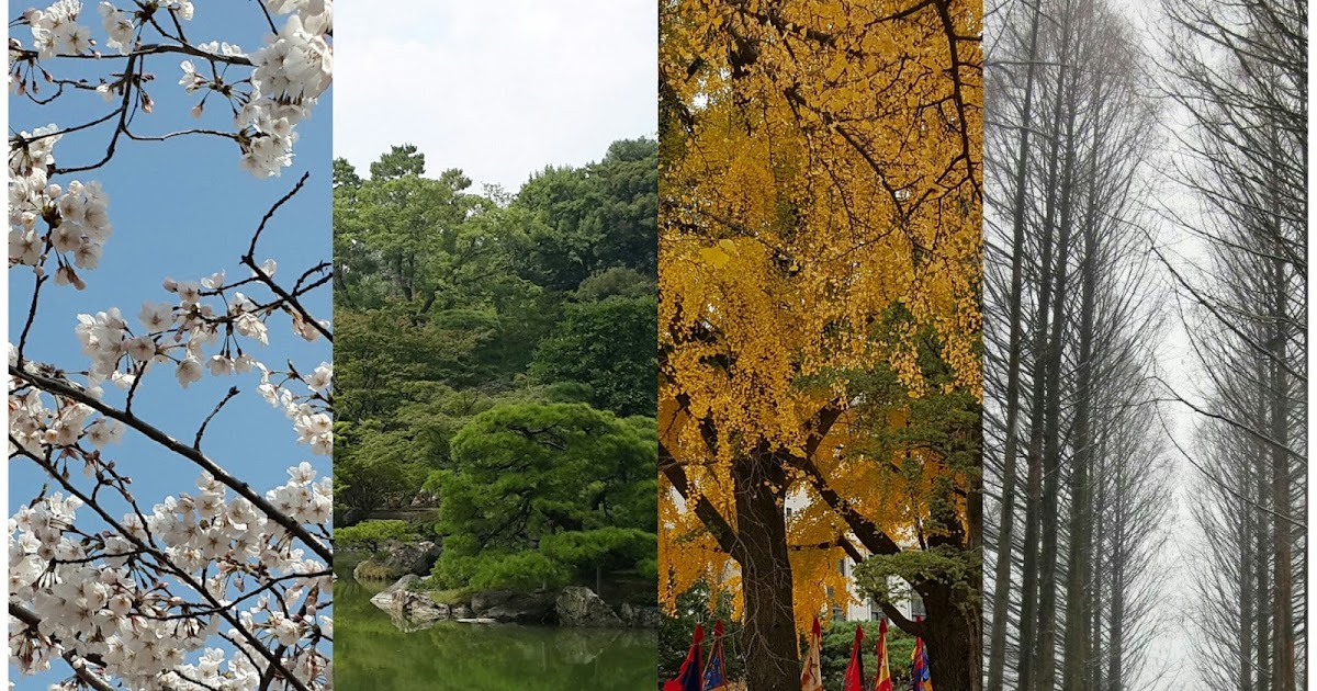 Yes, I can do it: Spring, Summer, Autumn, Winter, Which one?!