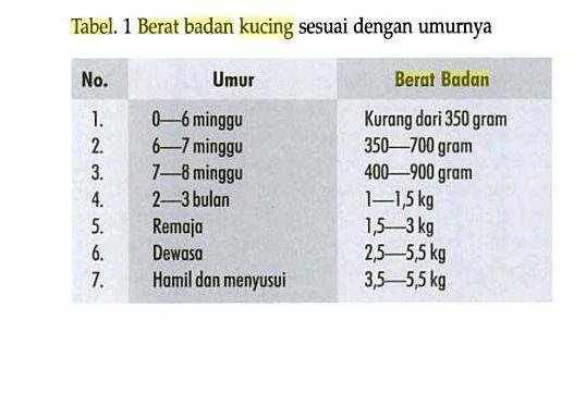 Tabel berat badan ideal untuk kucing