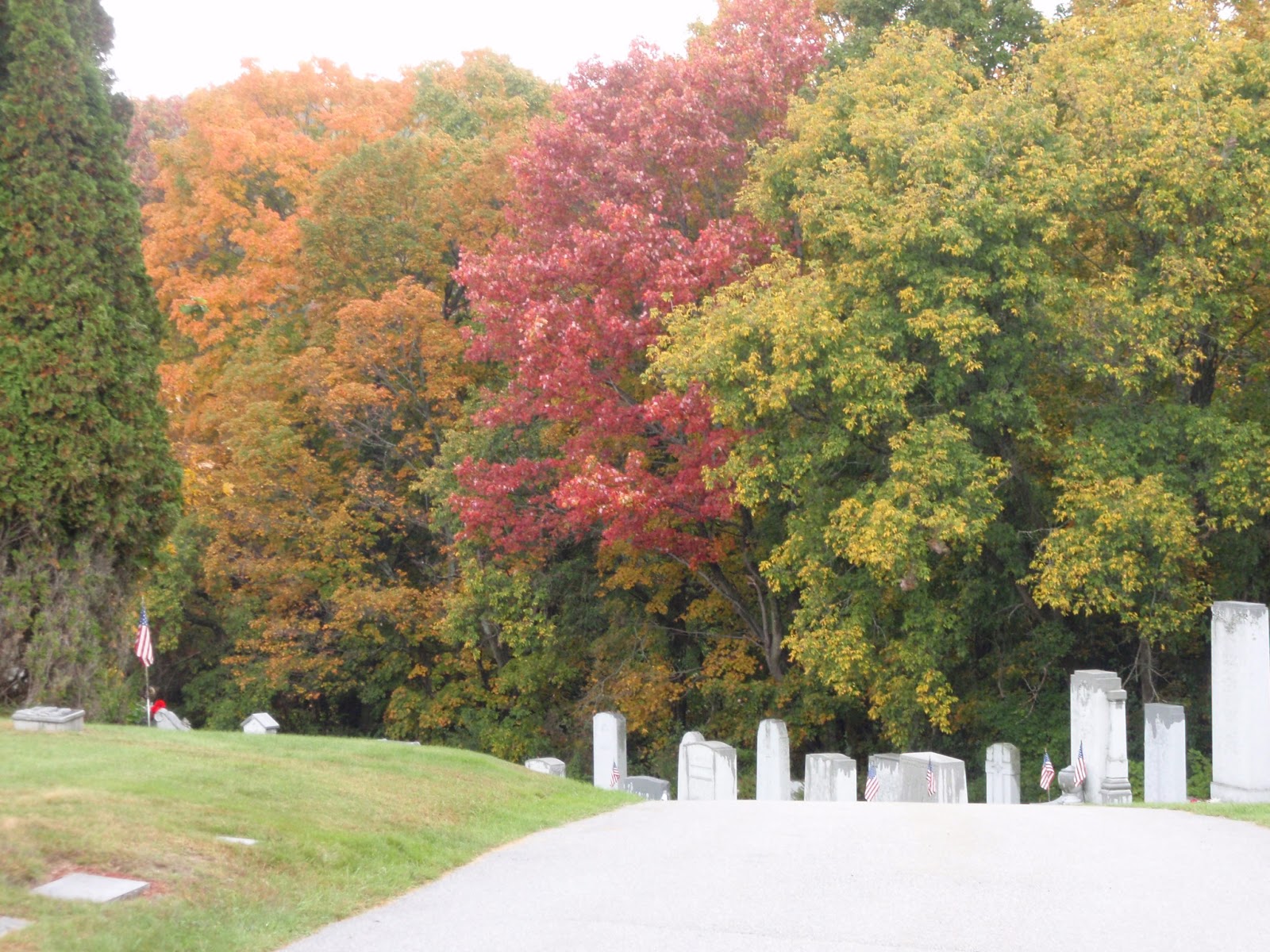 Knitrageous: Don't Fear The Reaper