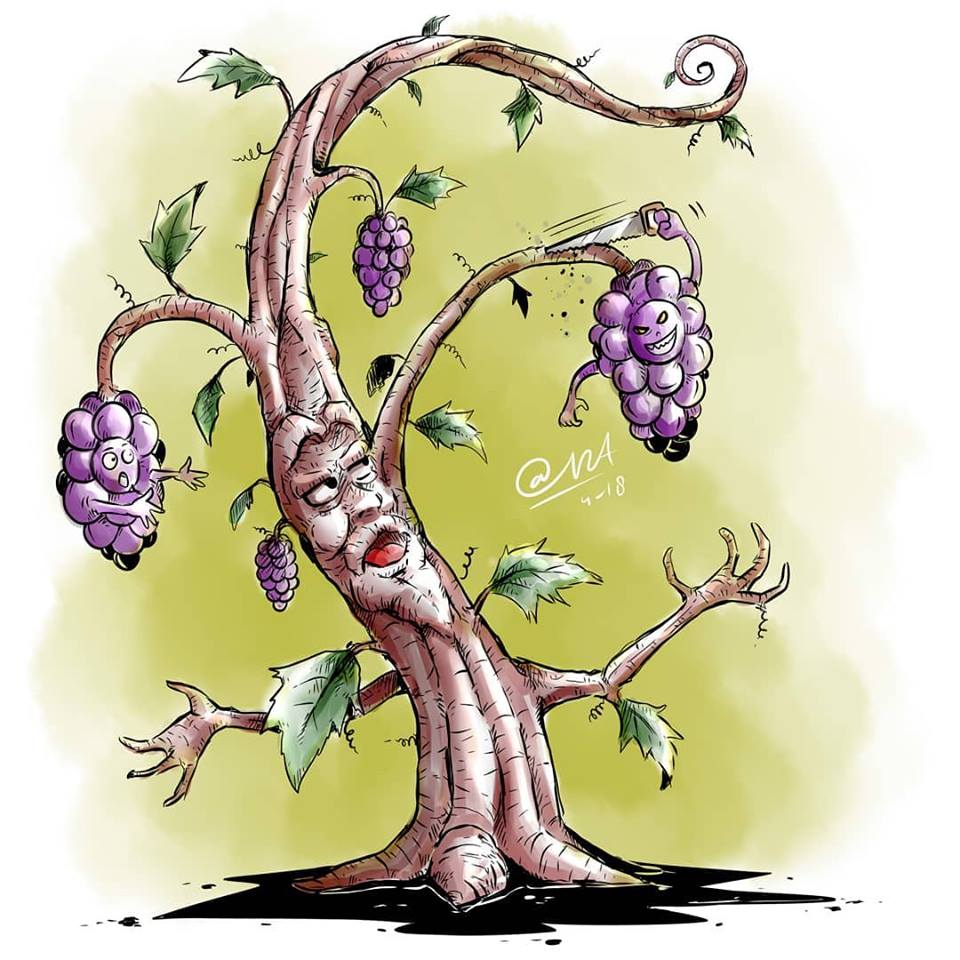 Konspirasi batin minggu, 29 April 2018, "pokok anggur"