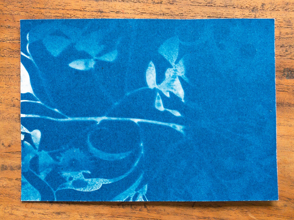 StencilGirl® Talk: Cyanotype Printing with StencilGirl® Stencils