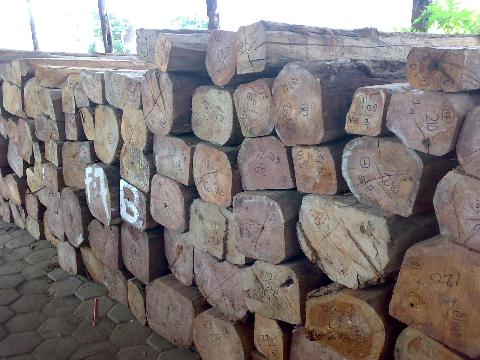 KUSEN PINTU JATI: Gallery Bahan Baku Produk