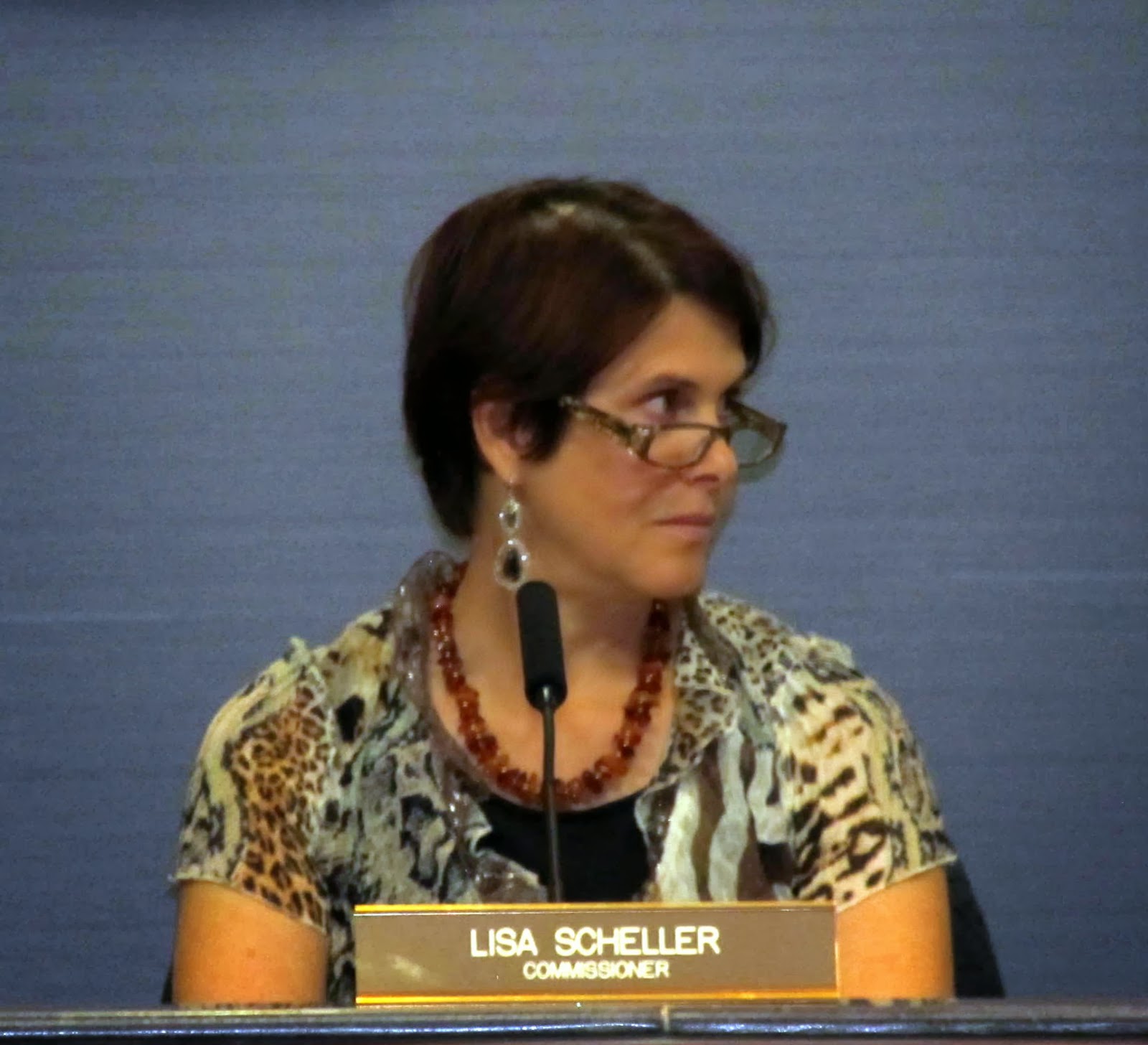 Lehigh Valley Ramblings: Scheller to Waive Her Pay in Lehigh