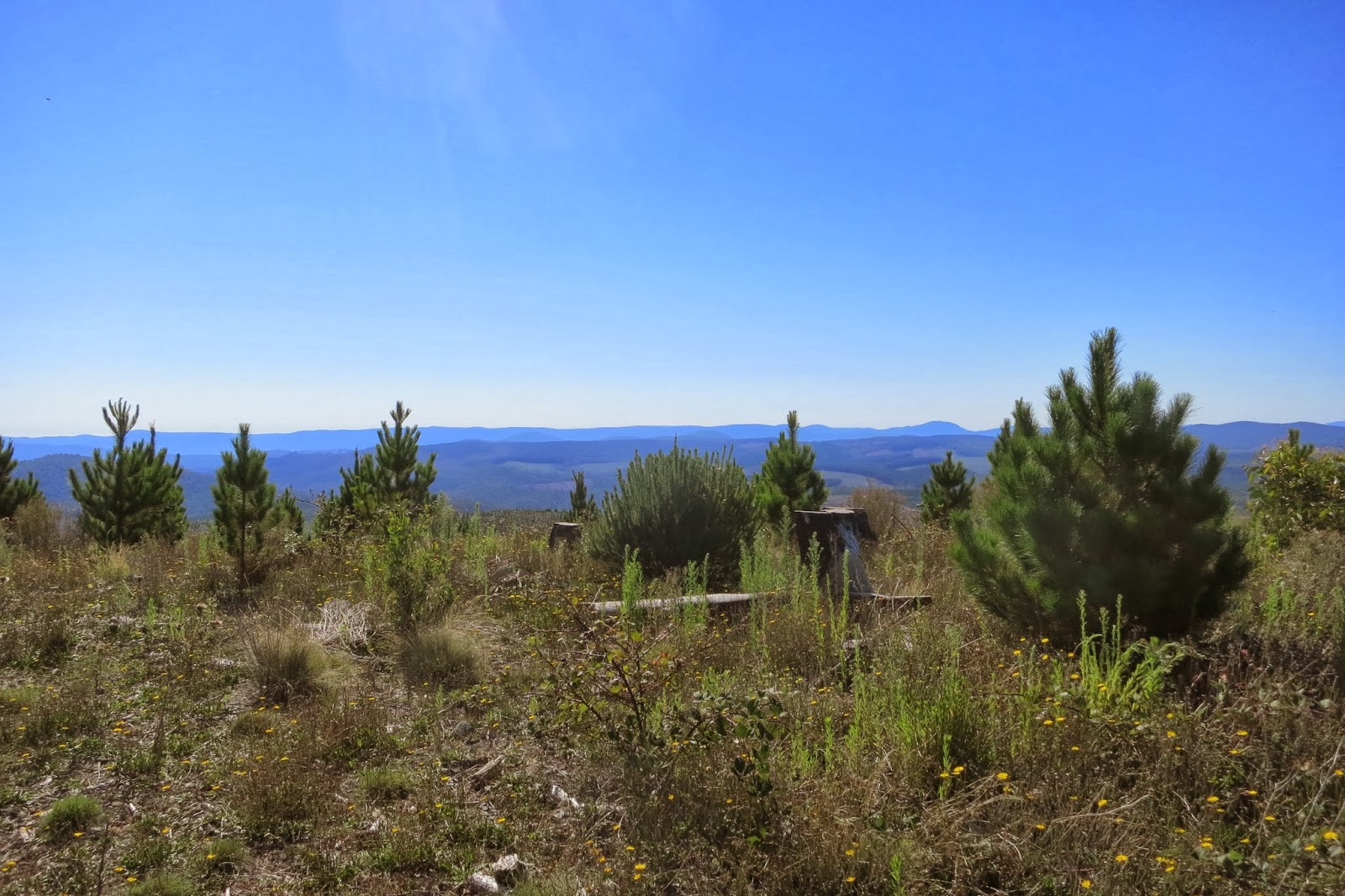 VK1DI's Blog: SOTA Activation Yankee Ned Hill