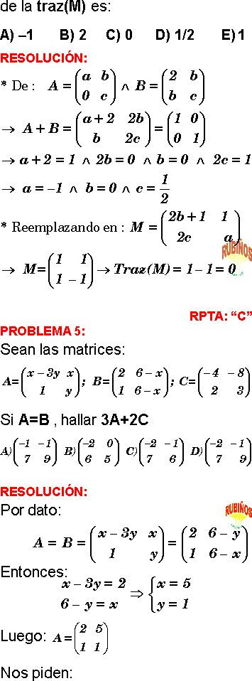 MATRICES EJERCICIOS RESUELTOS PDF