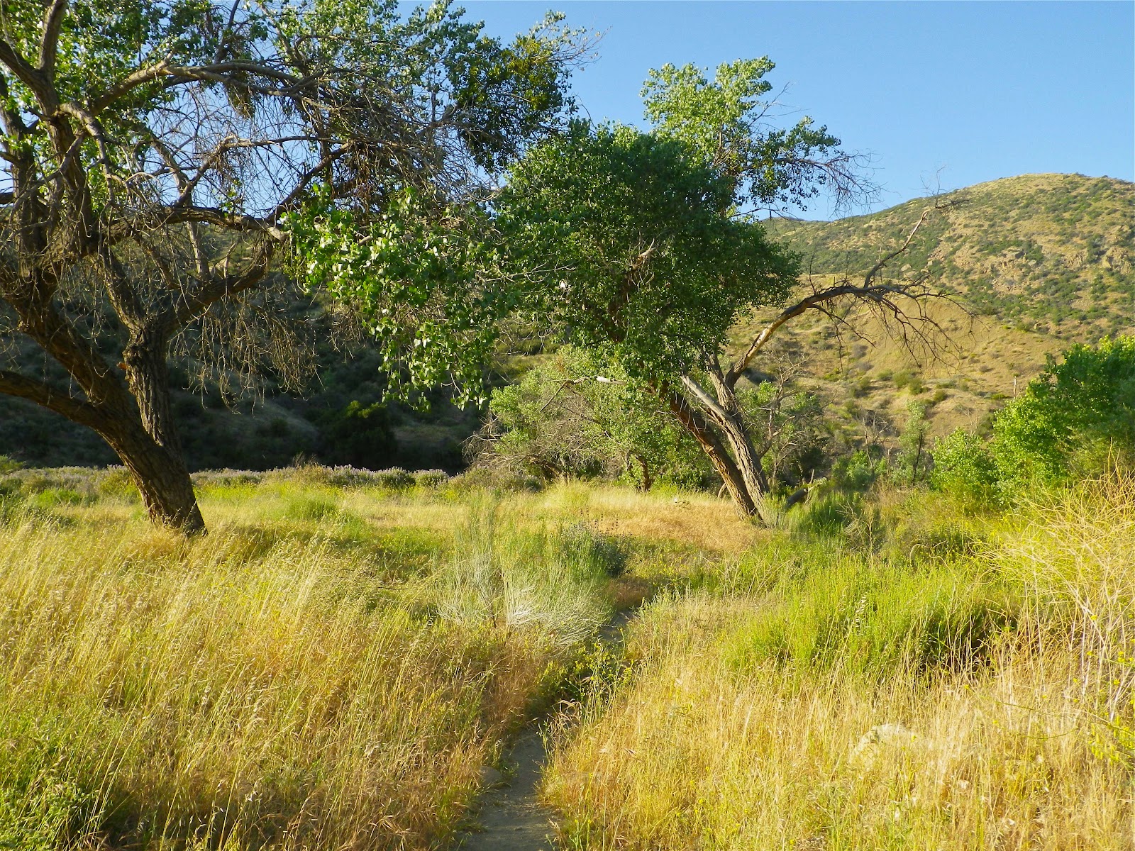 David Stillman: Piru Creek, from Pyramid Lake to Lake Piru, 05/19&20/2012