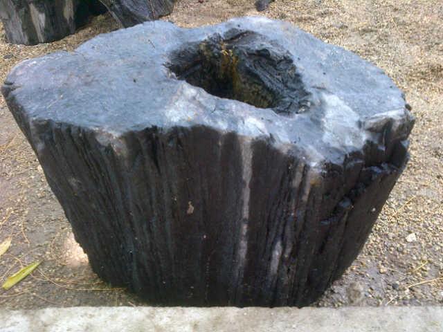 Museum Fosil Kayu Indonesia: GURATAN, WARNA, DAN BERAGAM BENTUK FOSIL KAYU